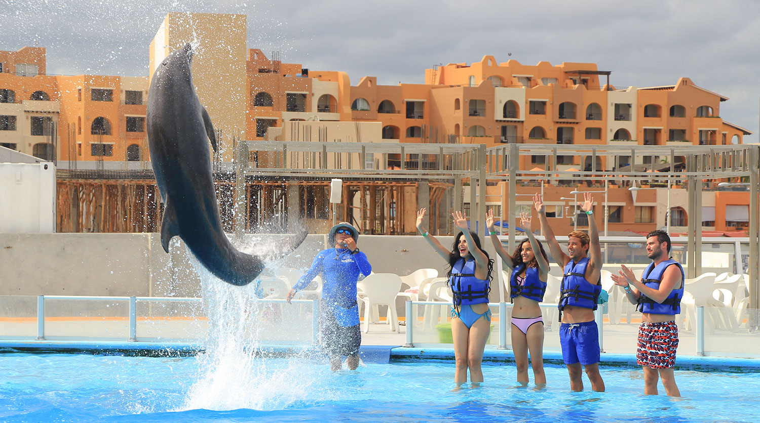 DOLPHIN SWIM AND RIDE EXPERIENCE CA - Pacific BaySide